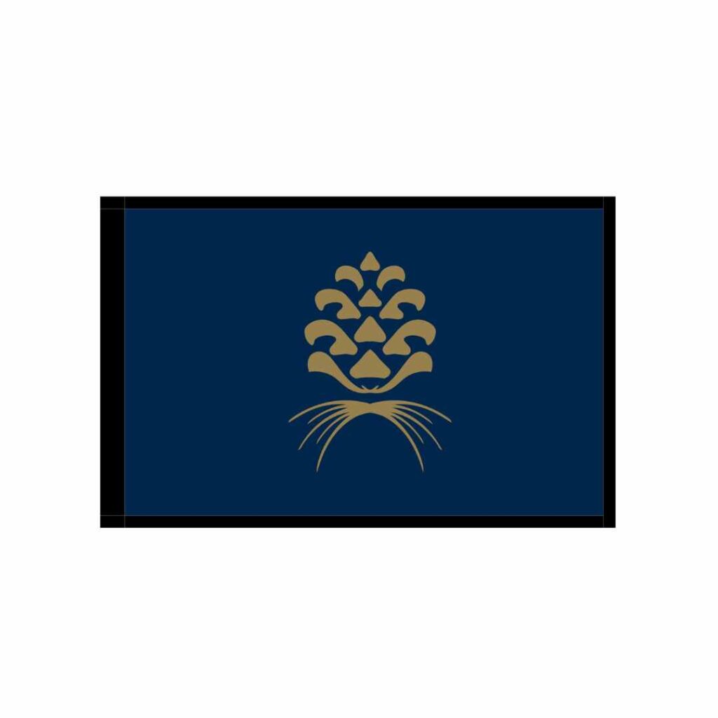 Custom Silkscreened Logo Regulation Flags