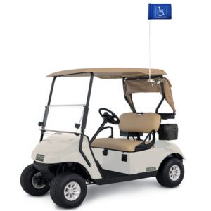 Golf Cart Disabled Handicap Flag System - Par West Turf