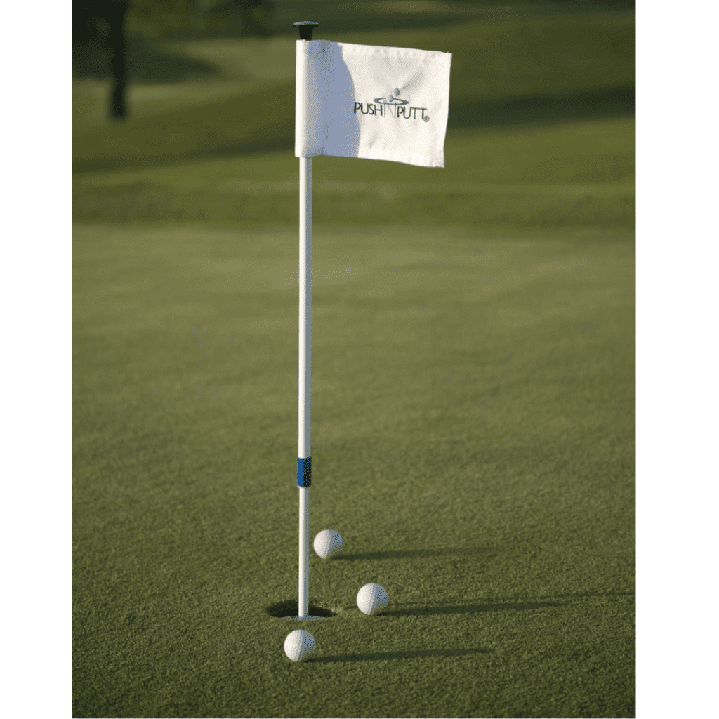 Push N' Putt Practice Green Flagstick - Par West Turf