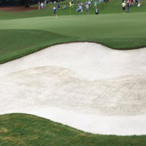 The Chief Bunker Rake - Standard Golf - Par West Turf